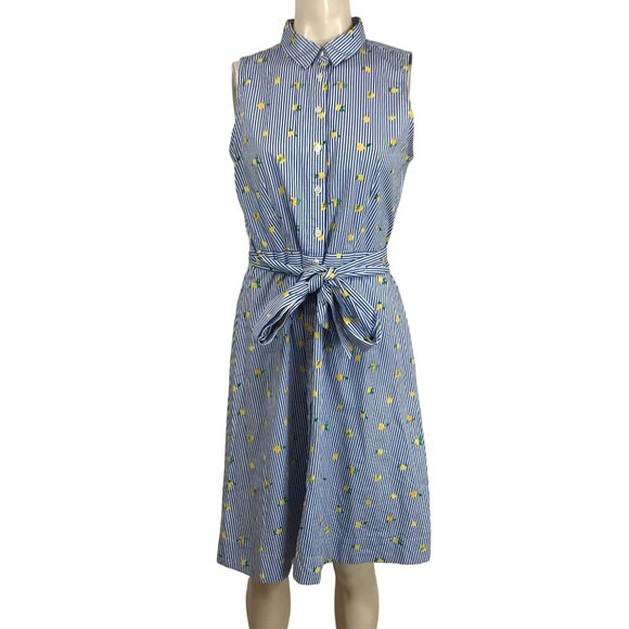 J. Crew | Dresses | J Crew Womens 8 Bluewhite Stripe Lemon Button Up ...
